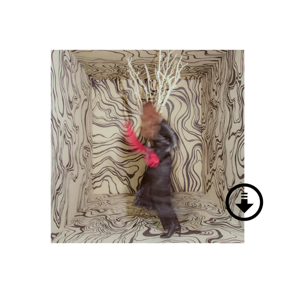 Revealer (Deluxe Edition)- Digital Album – Madison Cunningham Official ...