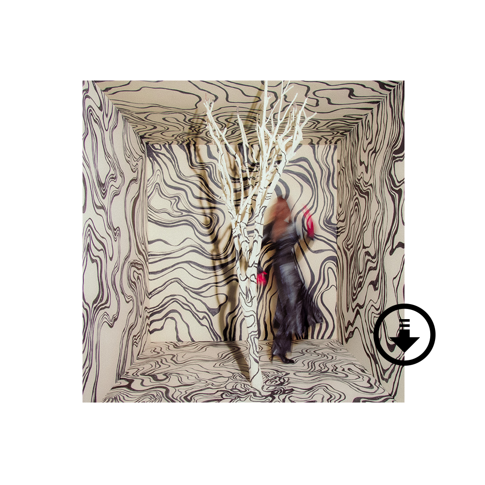 Revealer – Digital Album - Madison Cunningham Official Store